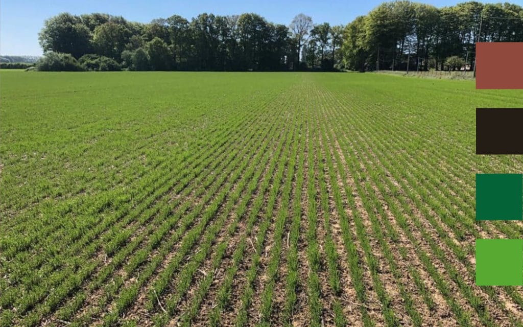 Lin fibre en semis direct : structurer son sol pour s’assurer d’une ...